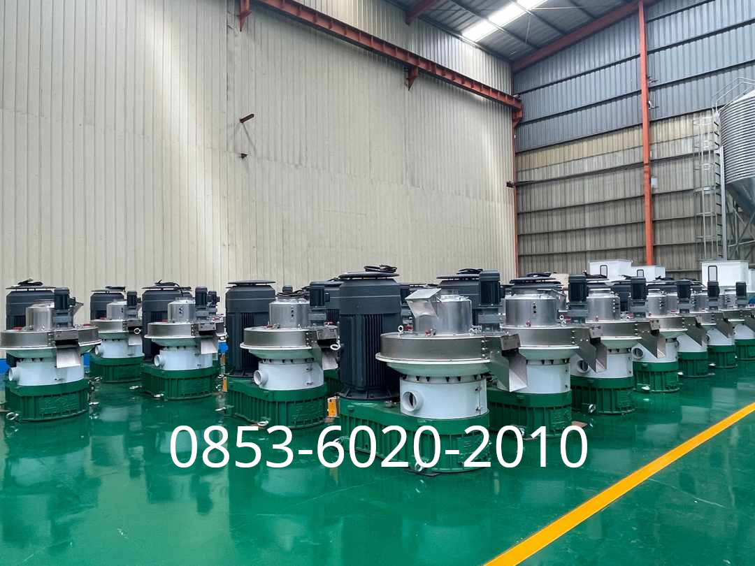 Mesin Wood Pellet Kapasitas Besar untuk Pengganti Batubara - Mesin Raya