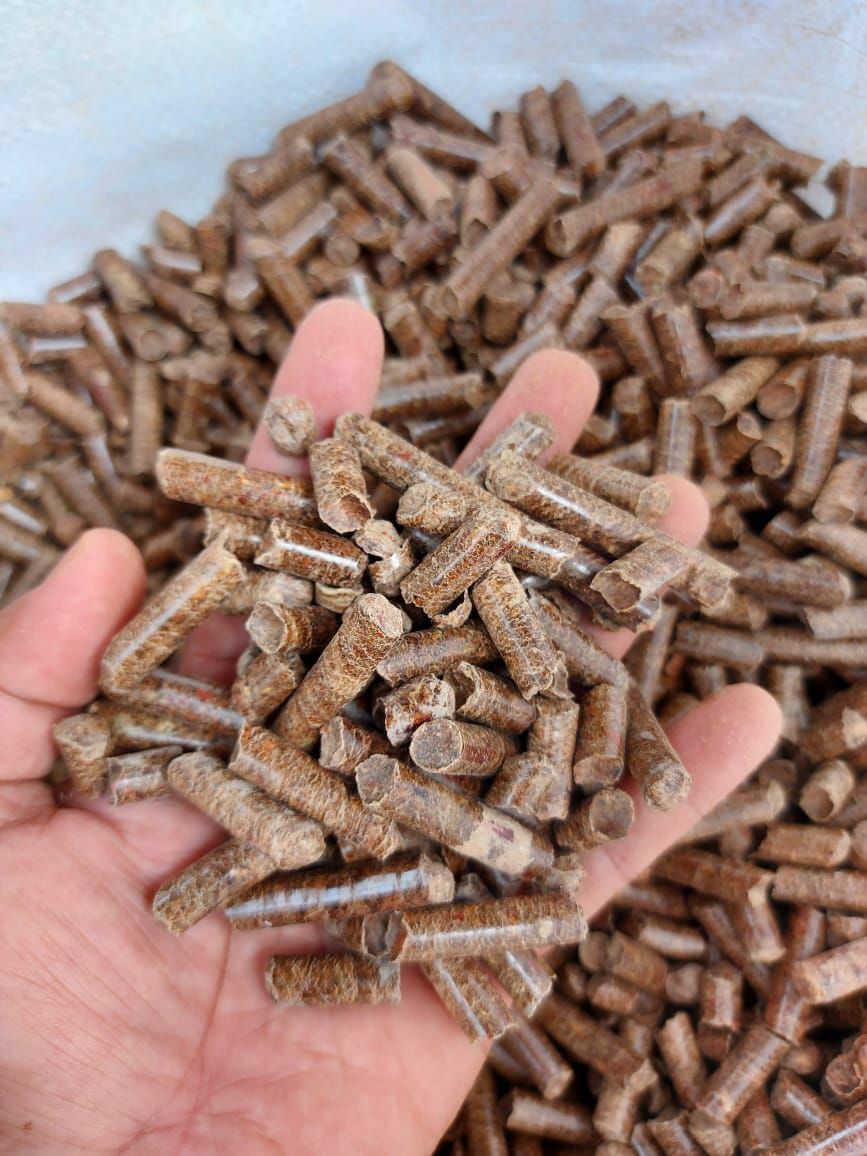 Mesin Pelet Kayu untuk Memproses Kayu Keras - Mesin Raya