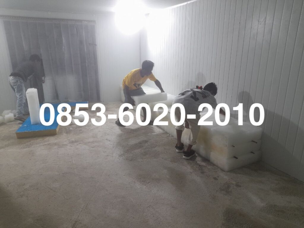 Apa Itu Cold Storage, Jenis, Manfaat, Teknologi, Contoh Penerapannya ...